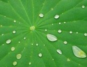 Sto Corp Launches Next-Gen StoColor® Lotusan® Coating - Sto Corp.