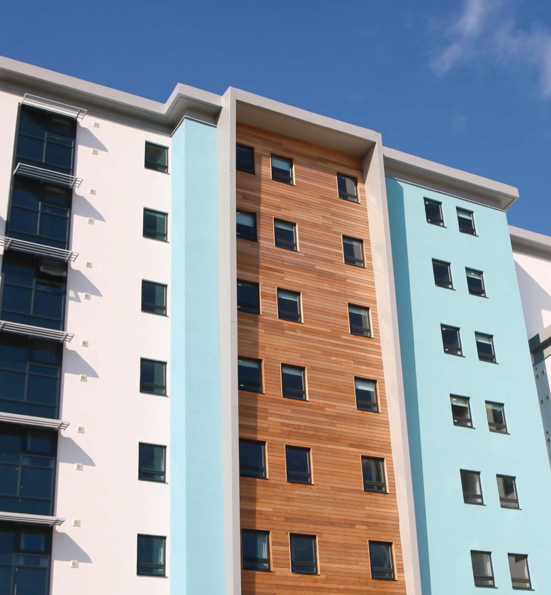 The Best Exterior Wood Cladding for Your Commercial Project