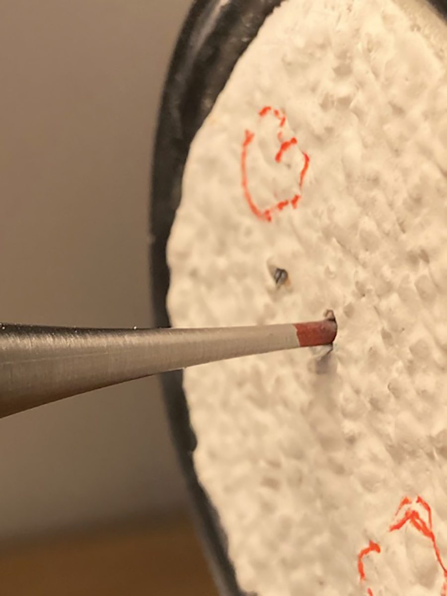 Sto Fortification Layers | Enhance Durability and Performance